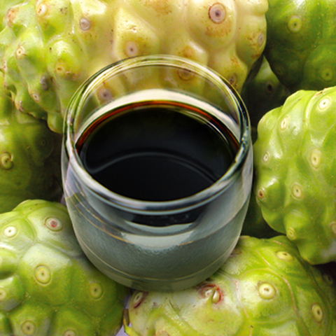 Noni high activity SOD-Like Fermented Liquid | Taiwantrade