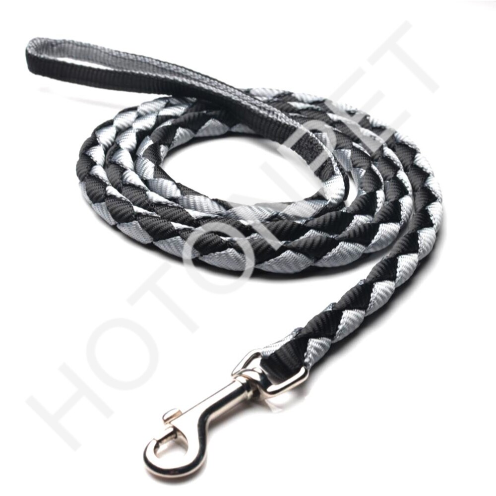 Nylon Braided Webbing Rope Dog Leash | Taiwantrade