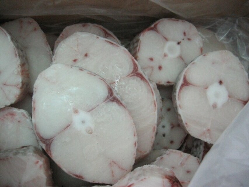 Frozen Oilfish, Rough Skin, Fillet, Loin, Steak, Processed, Wholesale ...