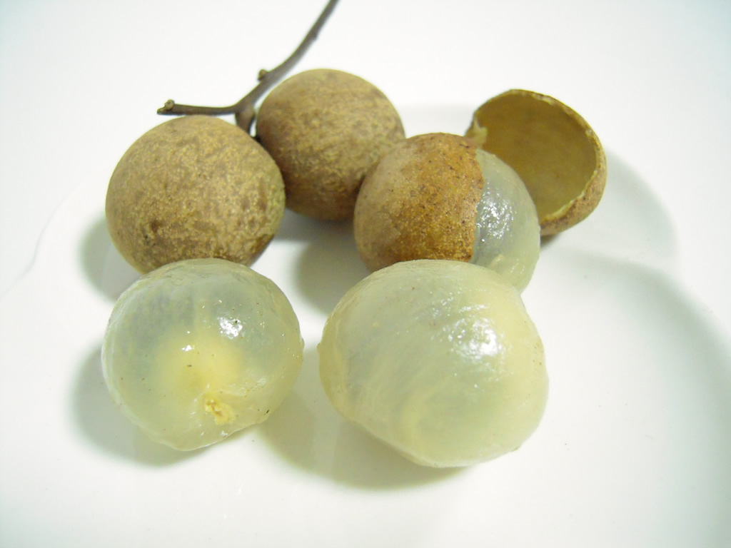 Longan, Longan Fruit, ‎Euphoria longana Lam.‎ | MILLER CCID CO., LTD.