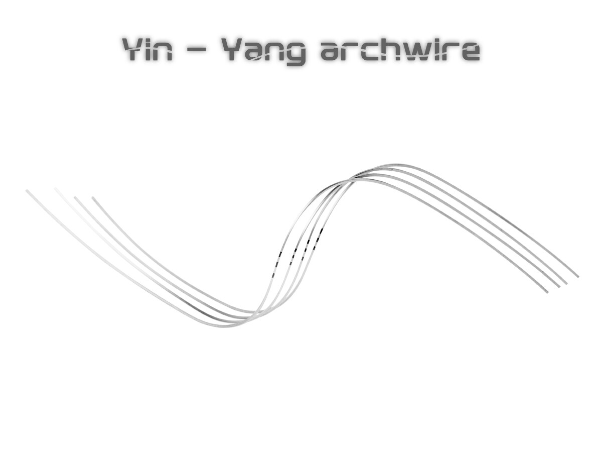 [MEM] Yin Yang Archwire | Taiwantrade