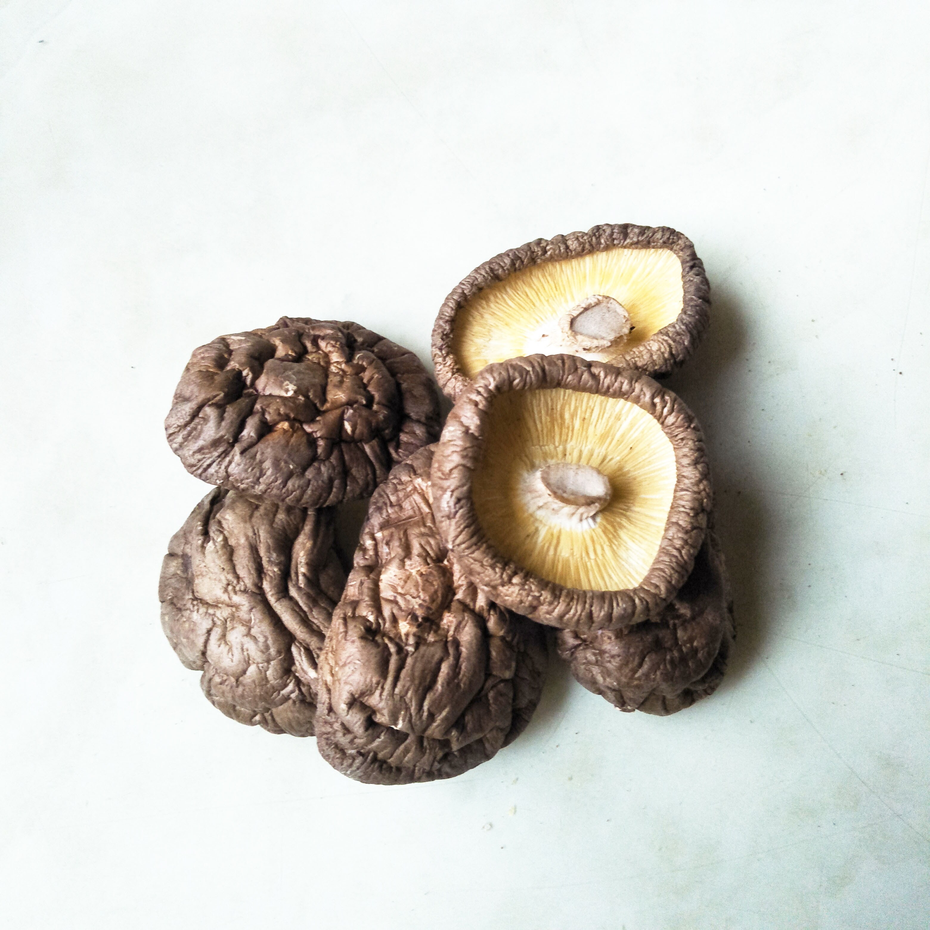 Extra Thick Shiitake Mushroom High Grade Delicious | Taiwantrade.com