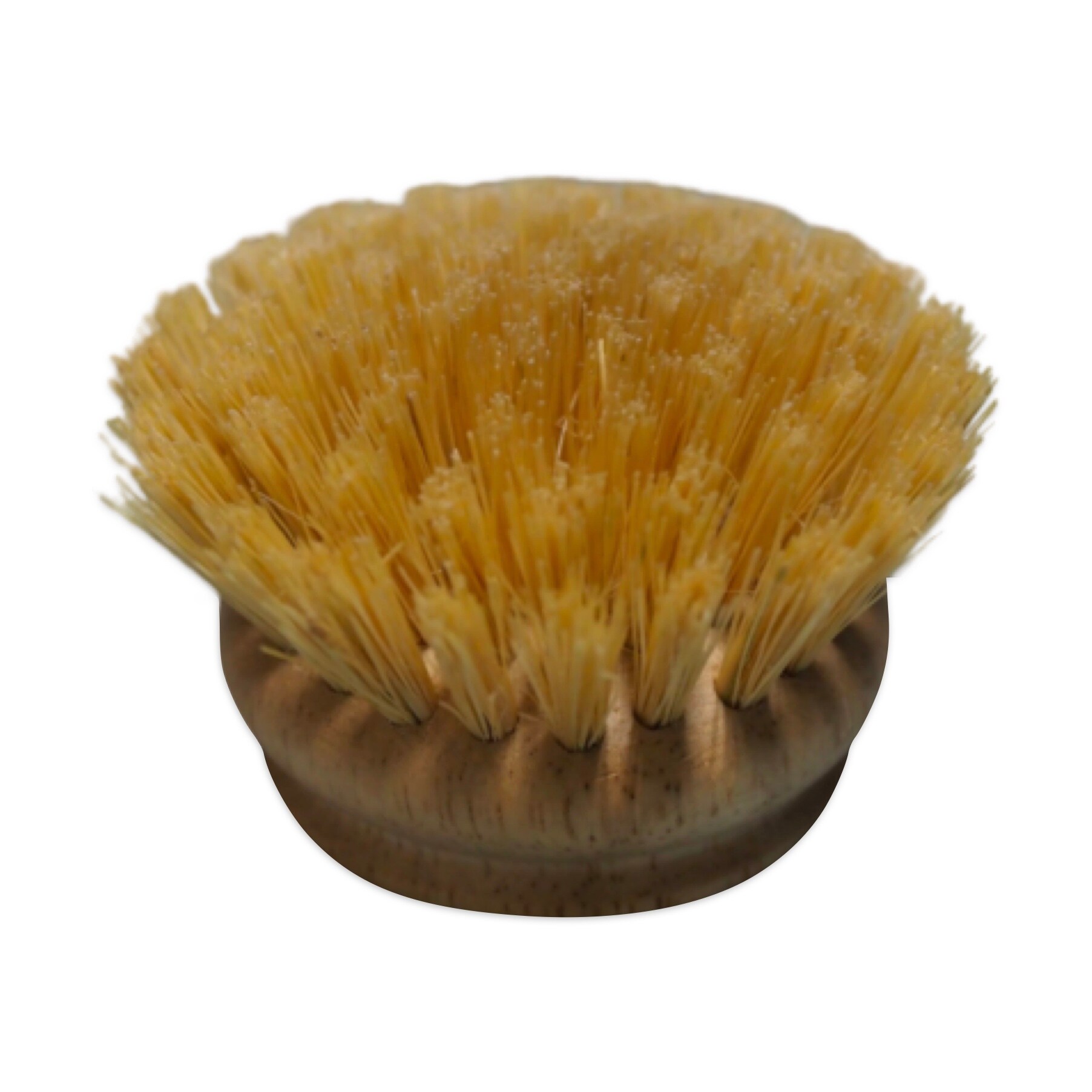 Natural Fiber Fruit and Vegetable Brush, Kitchen Brush | Taiwantrade