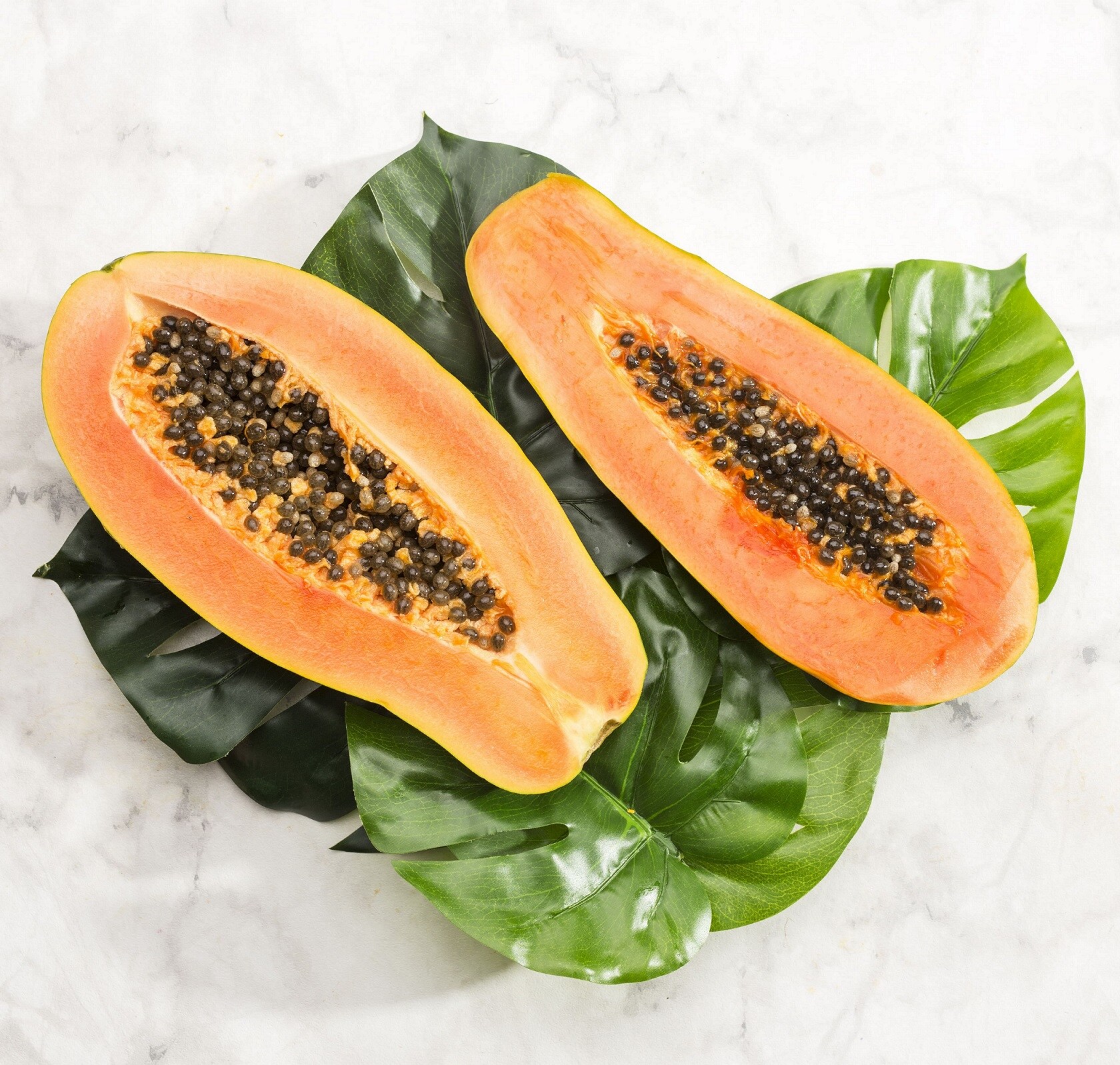 Papaya / Tainung No.2 Papaya | Taiwantrade