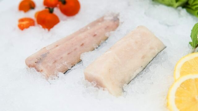 Frozen Mahi Mahi, Dolphin Fish, Fillet, Loin, Block, Wholesale ...