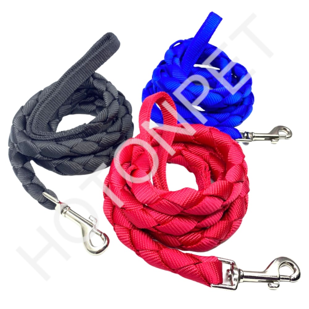 Nylon Braided Webbing Rope Dog Leash | Taiwantrade