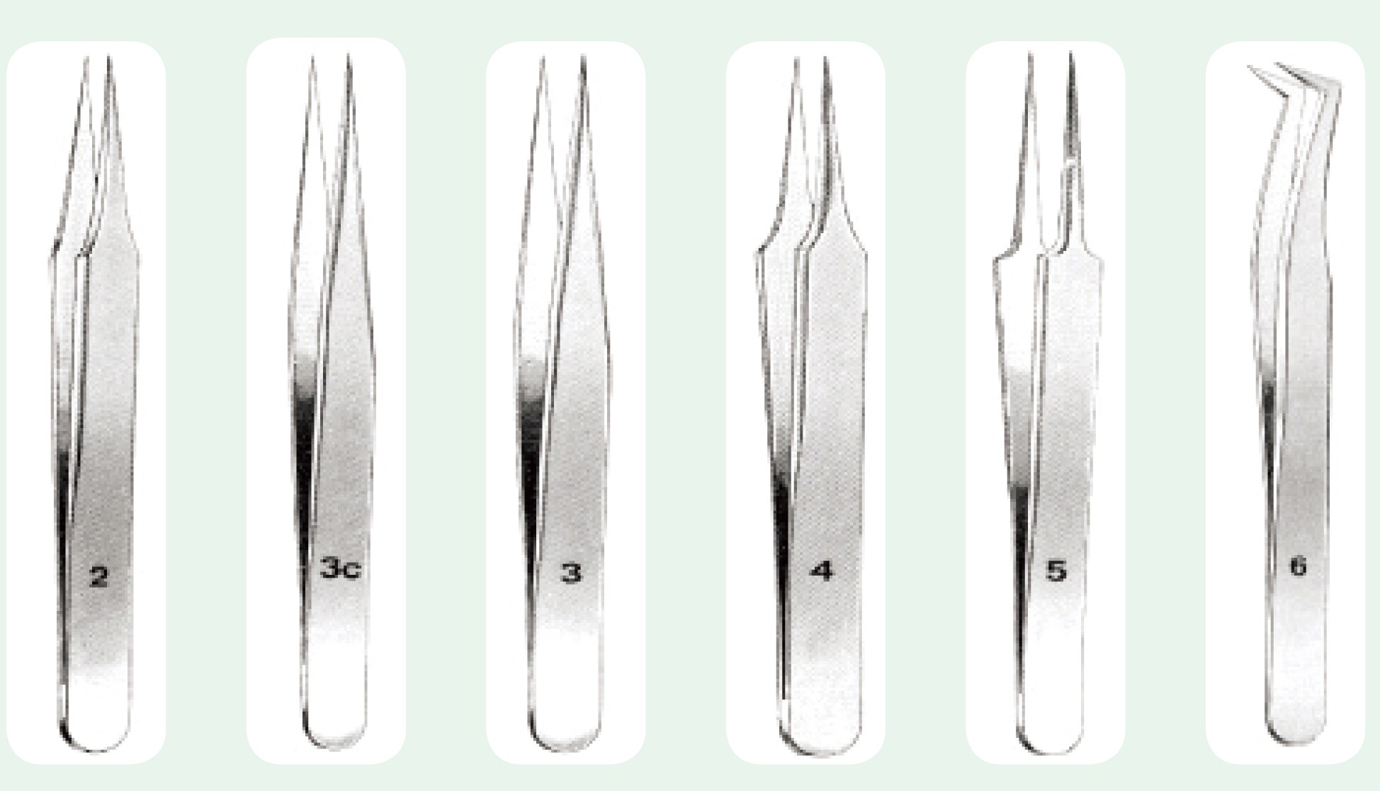 Forceps | Taiwantrade.com