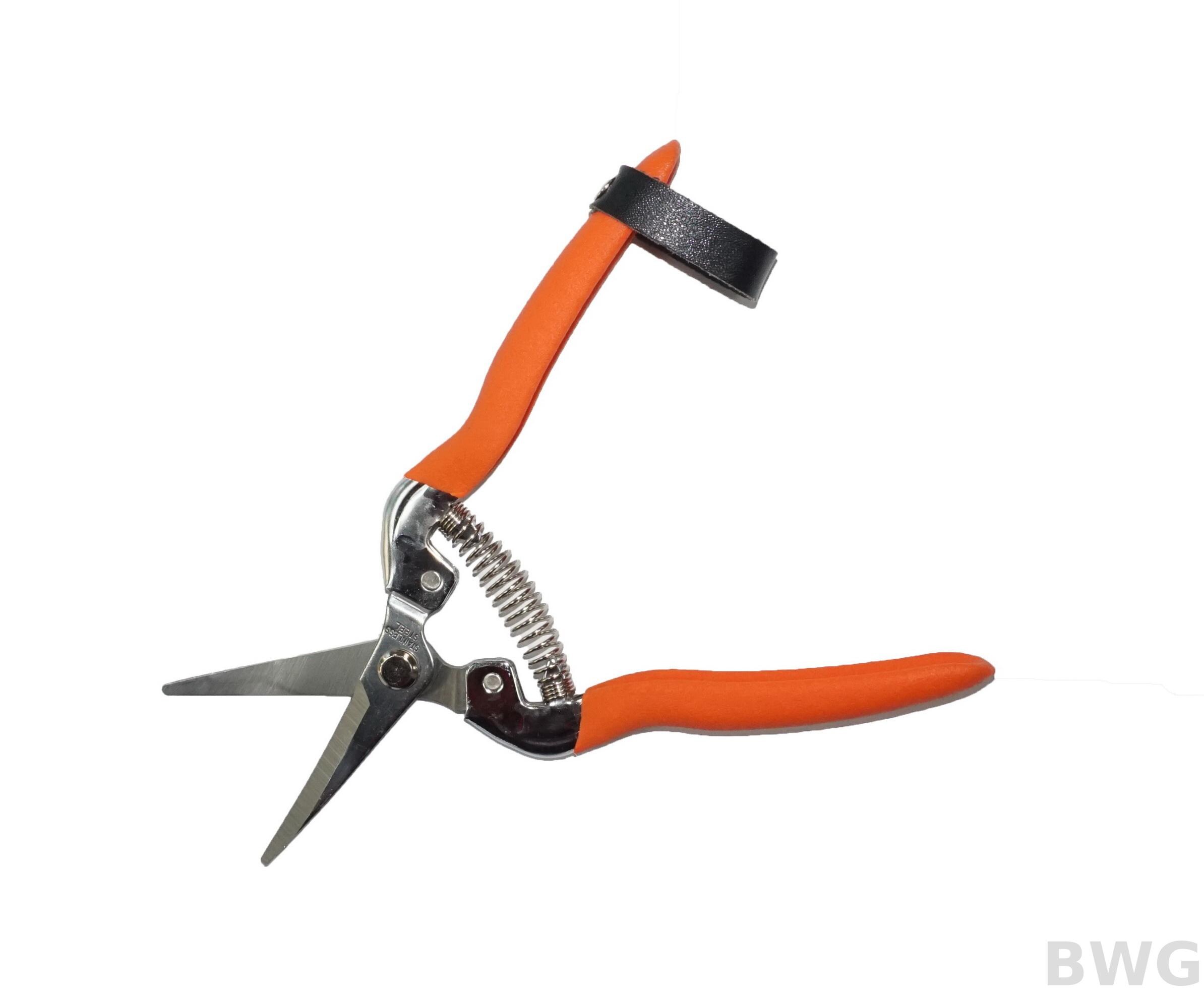 Long Curved Grape Shears With Chrome Plating Stainless Steel ...