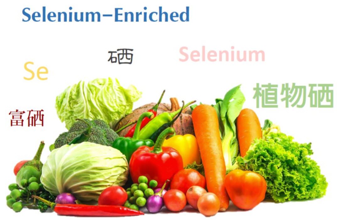 Nature Selenium-Enriched Crops | Taiwantrade