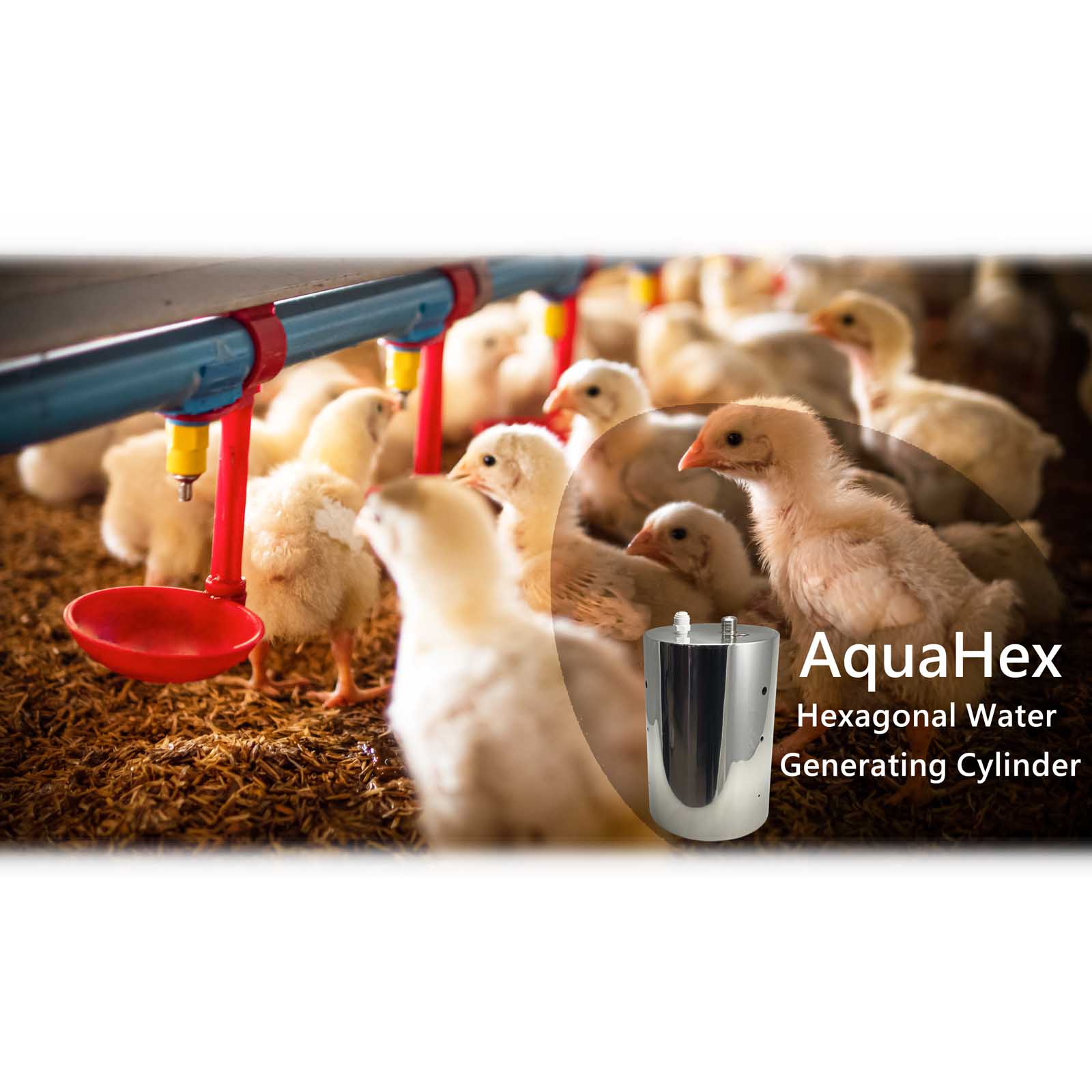 AquaHex Hexagonal Water Generation System for Poultry Hydration ...