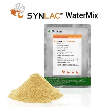 SYNLAC WaterMix, drinking water additives in poultry nutrition ...