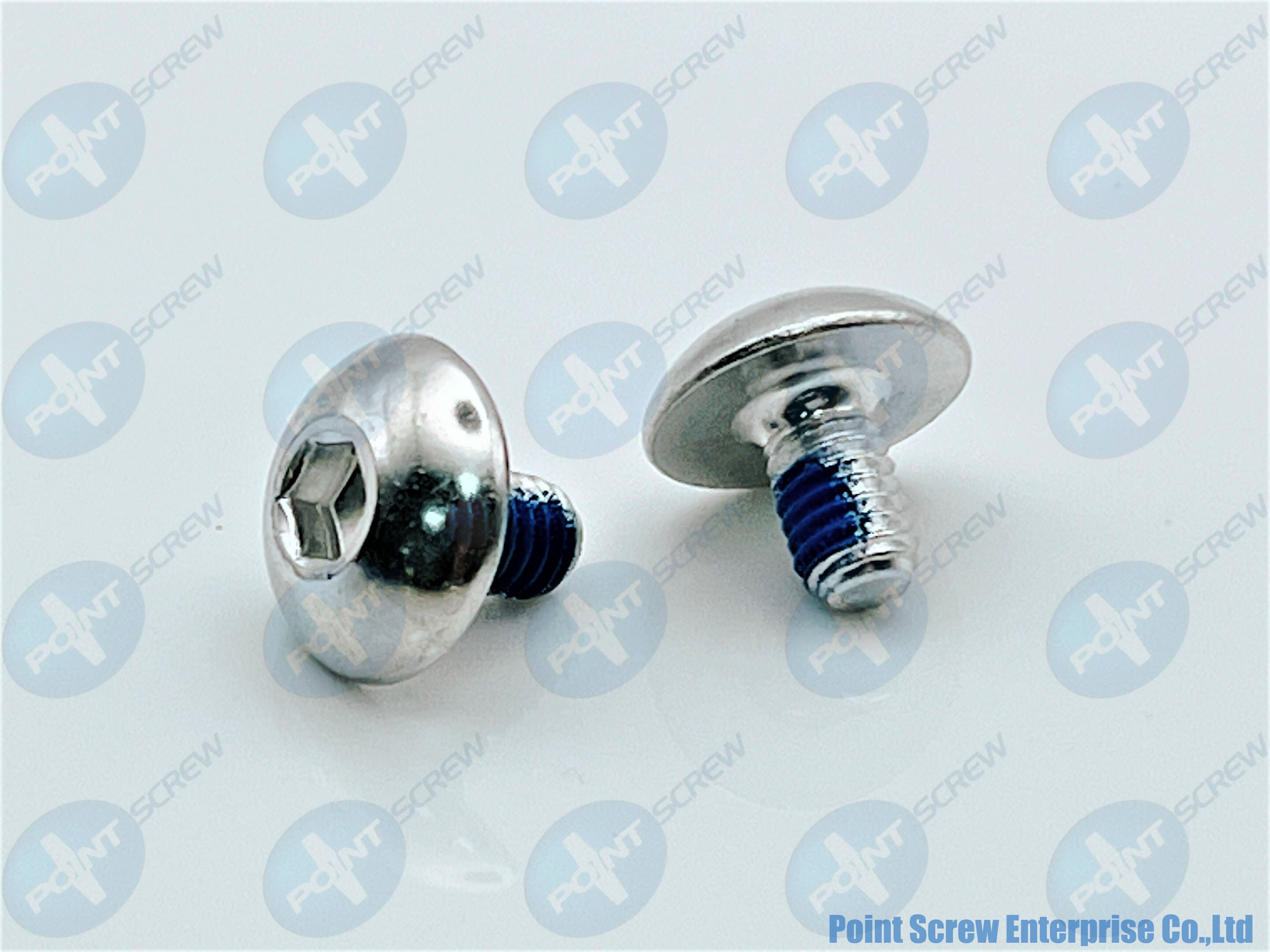 Hex Truss Head Screw With Nylok | Taiwantrade.com