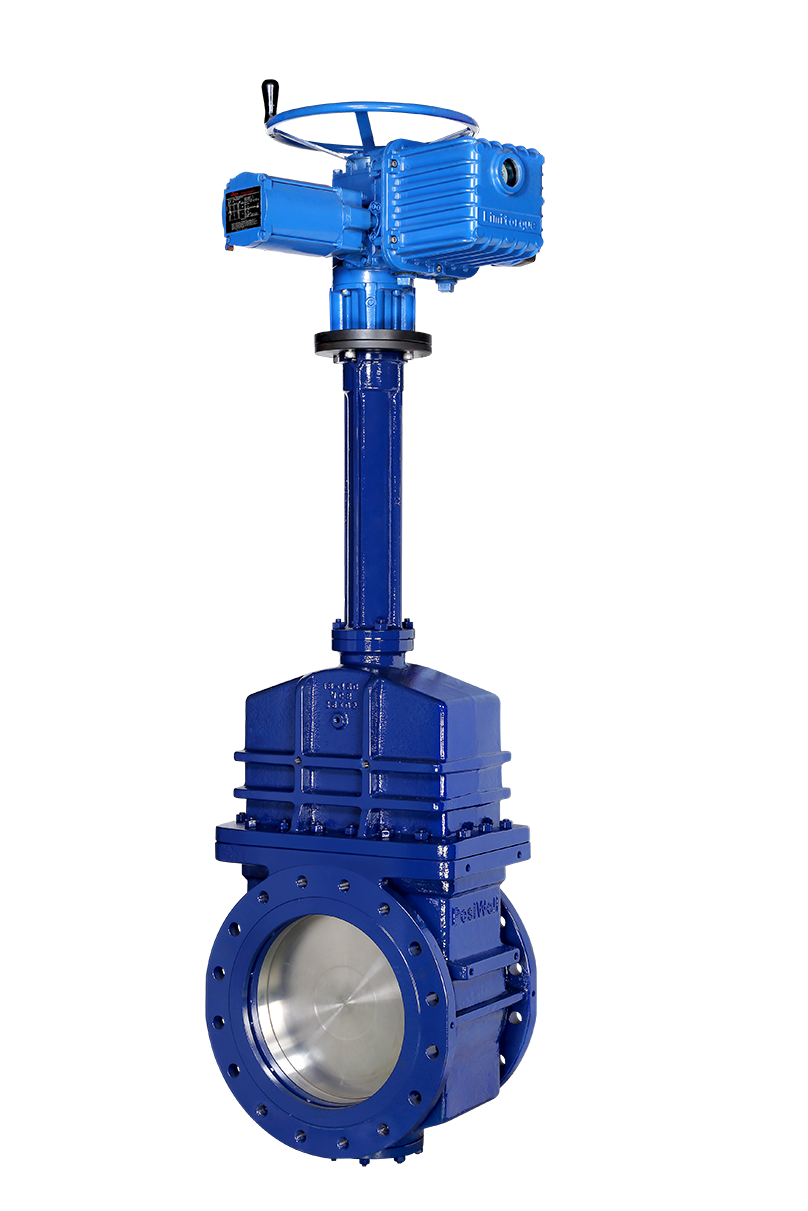 Double Disc Gate Valve | Taiwantrade