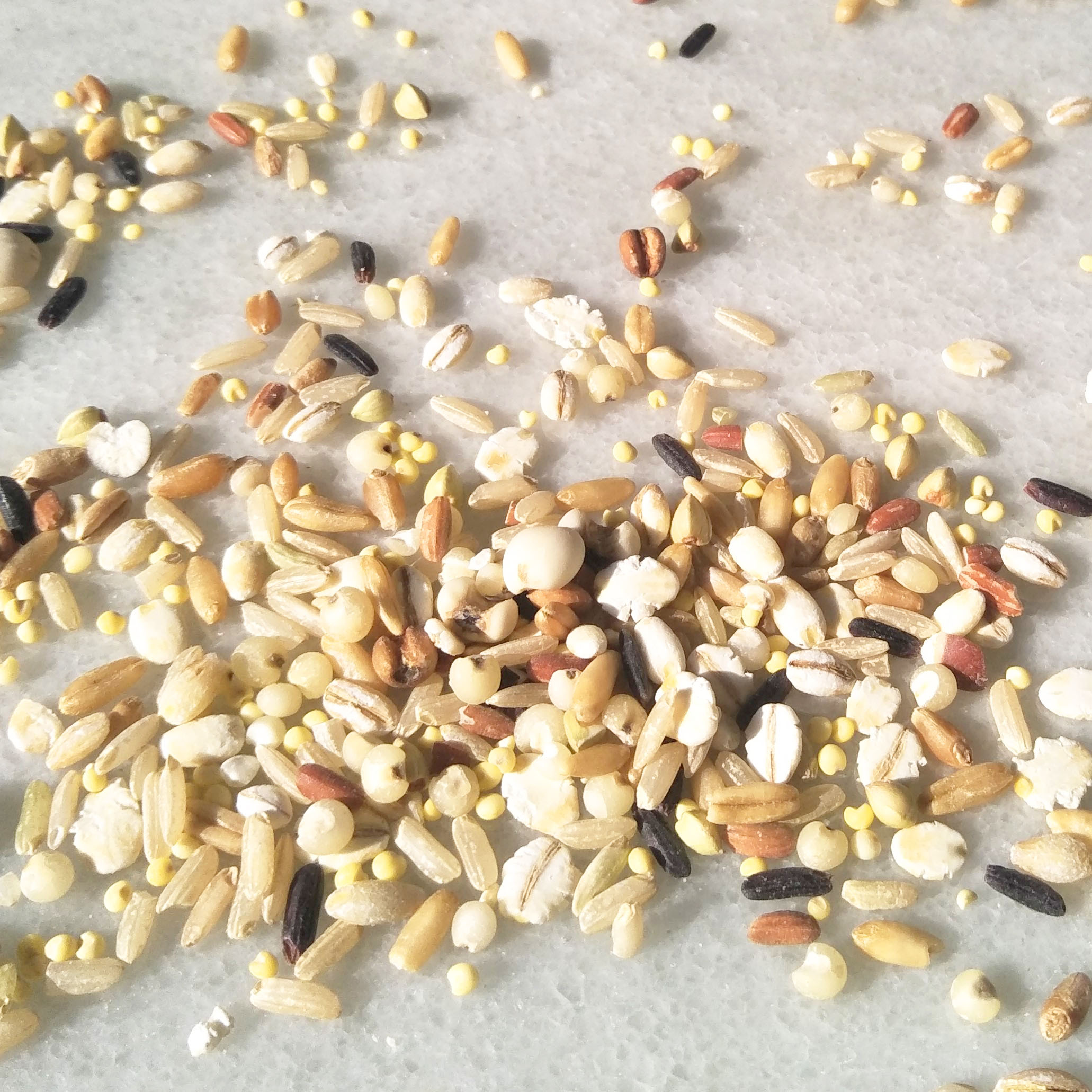 Premium Ten Grain Rice Mix | Taiwantrade.com