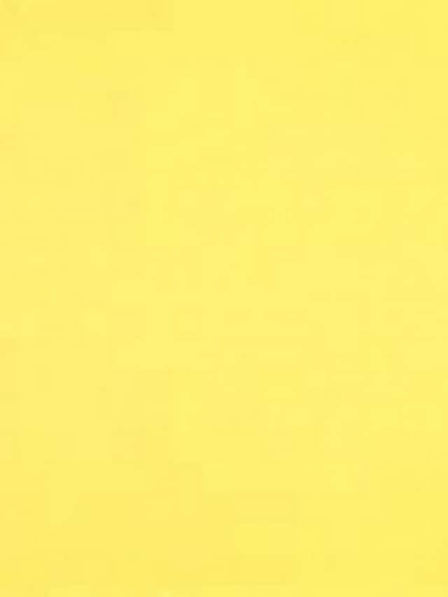 Sunflower Laminates/Daffodil yellow/high pressure laminate sheet/HPL ...