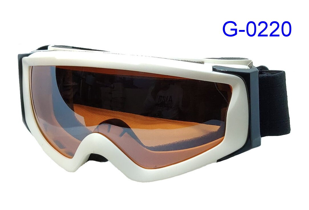 Ski Goggles_G-0220 | Taiwantrade