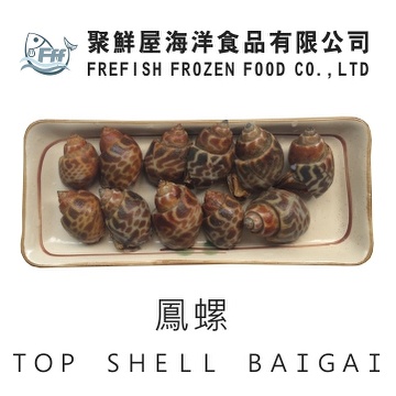 top shell baigai | Taiwantrade