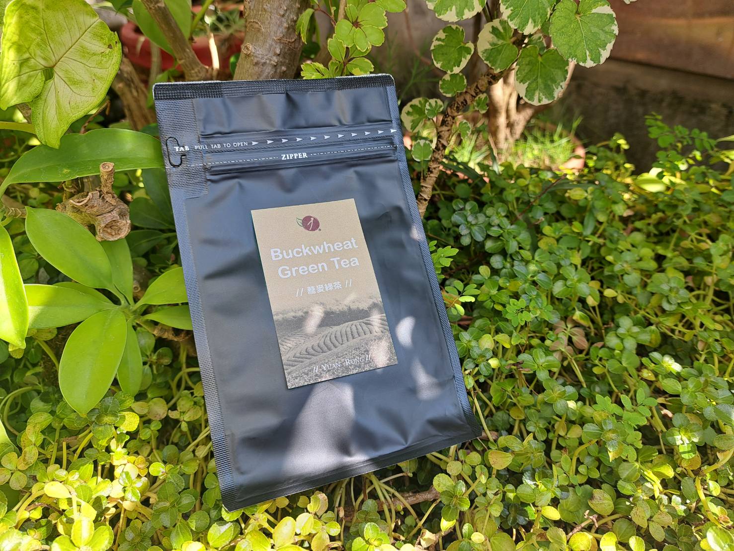 Buckwheat Green Tea | Taiwantrade