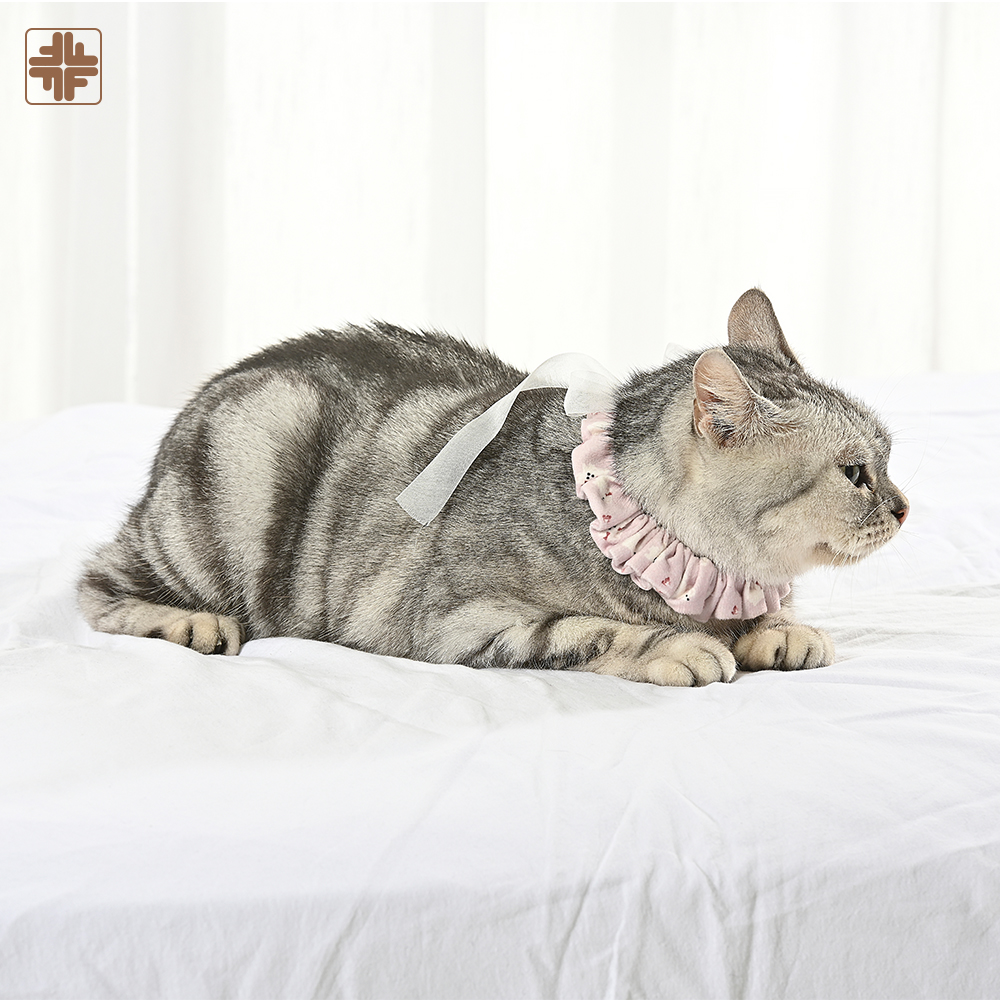 Pink Pet Scrunchie | Taiwantrade