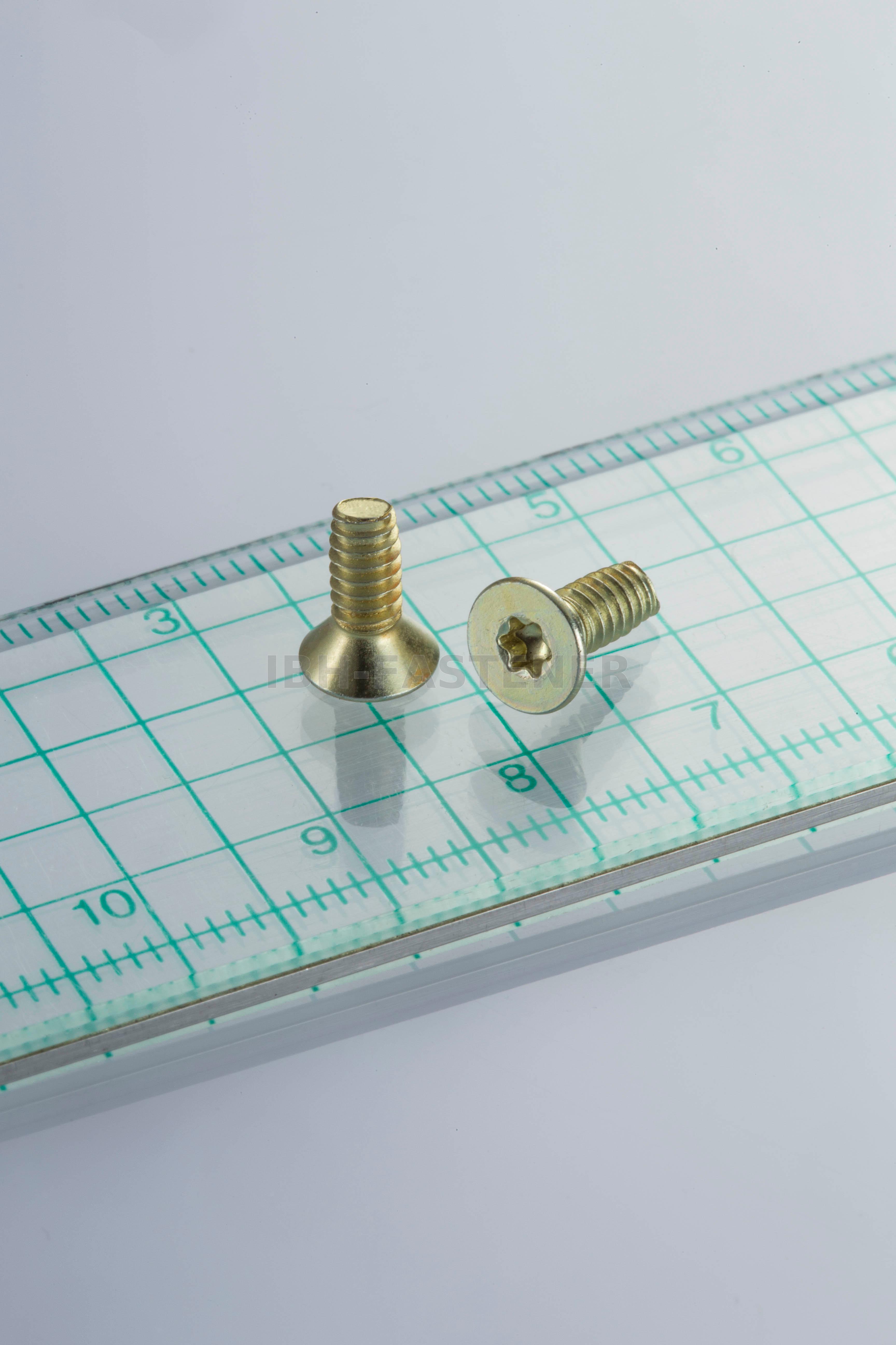 THREAD ROLLING SCREW FLAT COUNTERSUNK HEAD TORX DRIVE TYPE-TT ZY ...