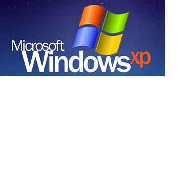 Windows XP Professional license | Taiwantrade.com
