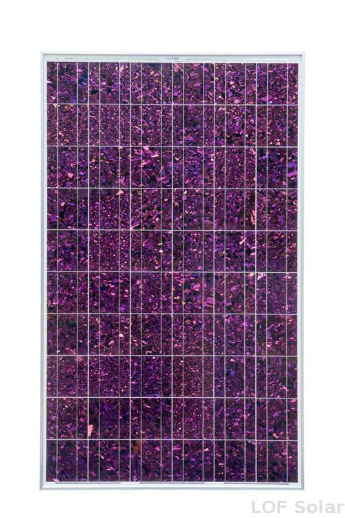 LOF Disco Pink Solar Panel | Taiwantrade
