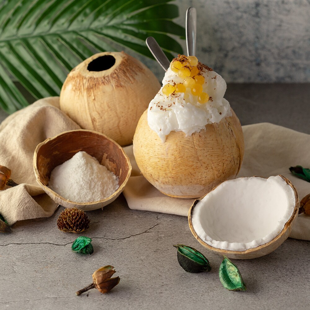 Coconut Snow Ice Powder | Taiwantrade
