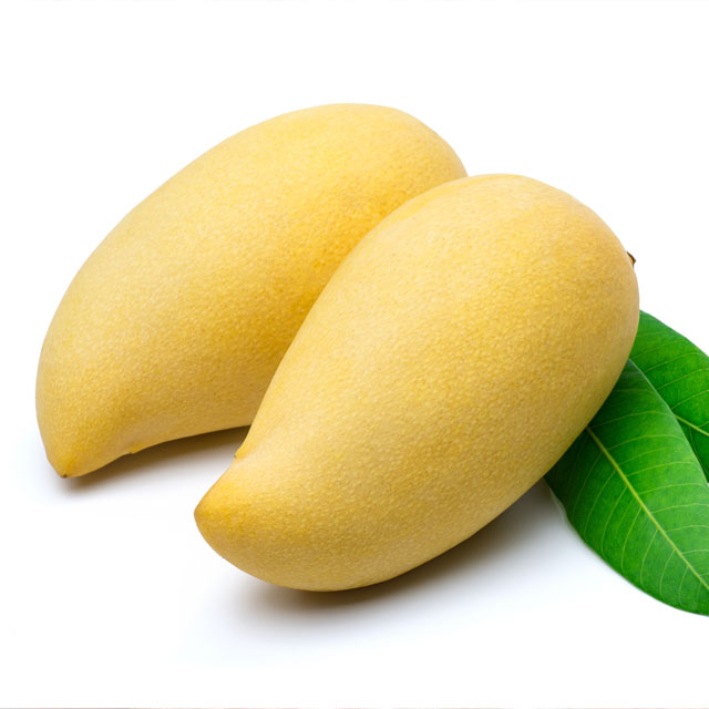 Fresh Golden Mango | Taiwantrade