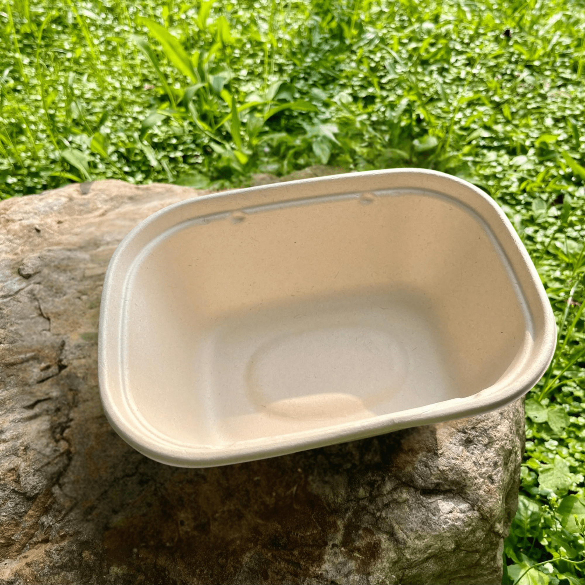 Biodegradable Sustainable Eco-friendly Meal Paper Box Container ...