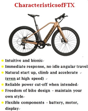 FASTRAX EBIKE | Taiwantrade