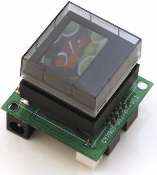 OLED Button | Taiwantrade