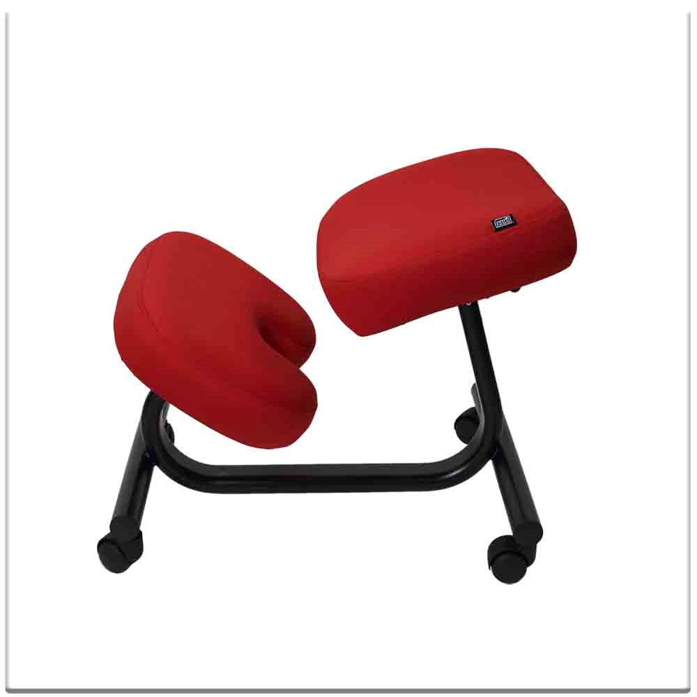 SITPRO POSTURAL CORRECTION CHAIRS | Taiwantrade