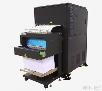 Continuous Feed Laser Printer, WINJET Continuous Laser Printer ...