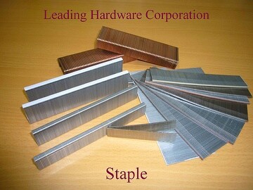 Staples - Medium Wire - L Series | Taiwantrade.com