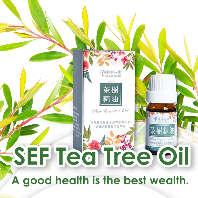 Health Care-SEF Tea Tree Essential Oil | Taiwantrade