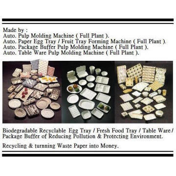 Auto. Pulp Molding Machine,Pulp Forming Molds,Paper Egg Tray Forming ...