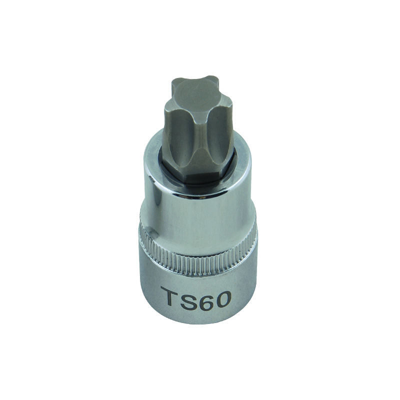 5 Point Torx Plus Bit Socket | Taiwantrade