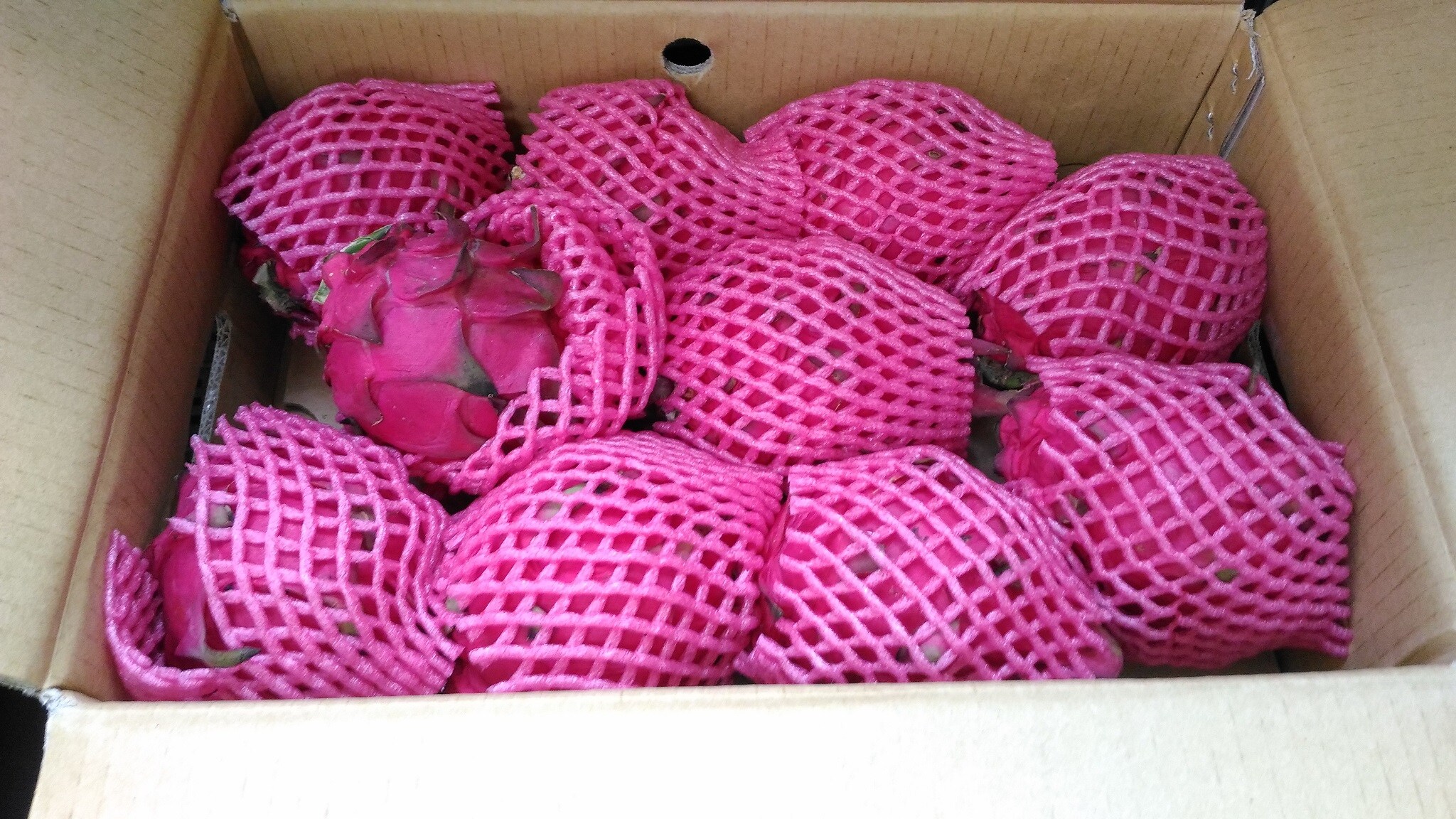 dragon fruit | Taiwantrade.com