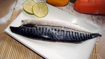 Premium Atlantic Mackerel ,Wild-Caught Mackerel Fillets | Taiwantrade