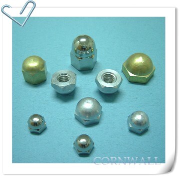 CAP NUT | Taiwantrade