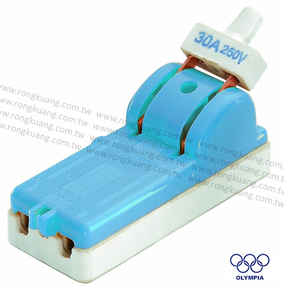 Single Throw Knife Switch 2P30A 250V | Taiwantrade