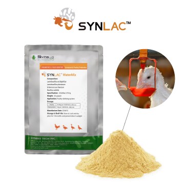 SYNLAC WaterMix, Poultry drinking water additive | Taiwantrade