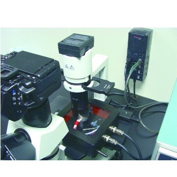 Infrared devices | Taiwantrade