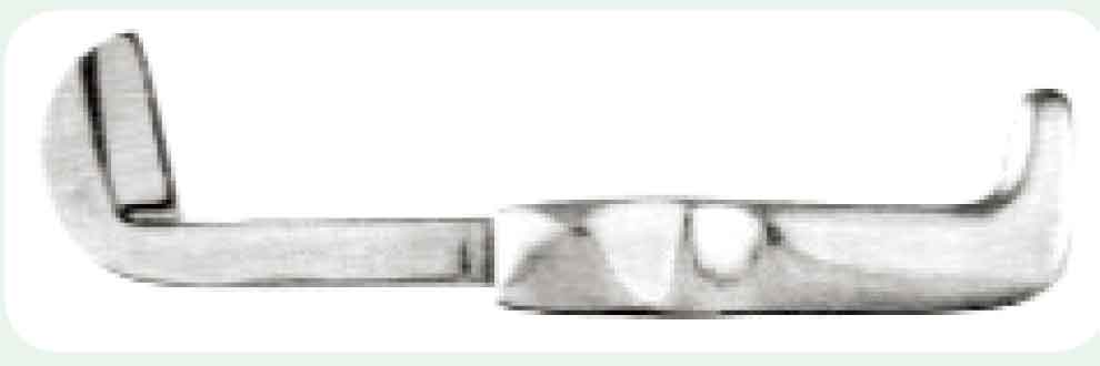 RIB CUTTING KNIFE | Taiwantrade