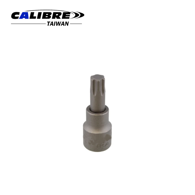 CALIBRE 3/8" Square Drive TORX Plus Socket | Taiwantrade.com