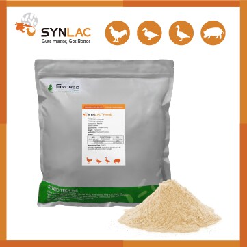 SYNLAC Premix, innovative animal feed additives for pig and poultry ...