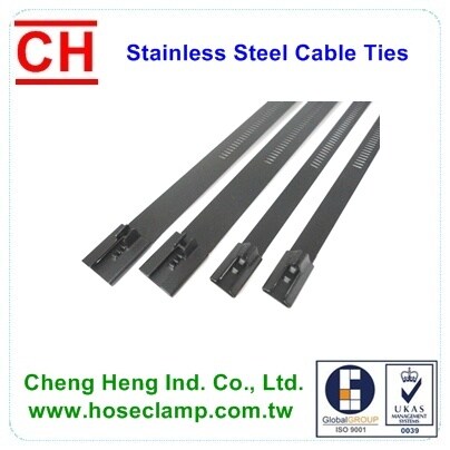Stainless steel Ladder Cable ties | Taiwantrade.com