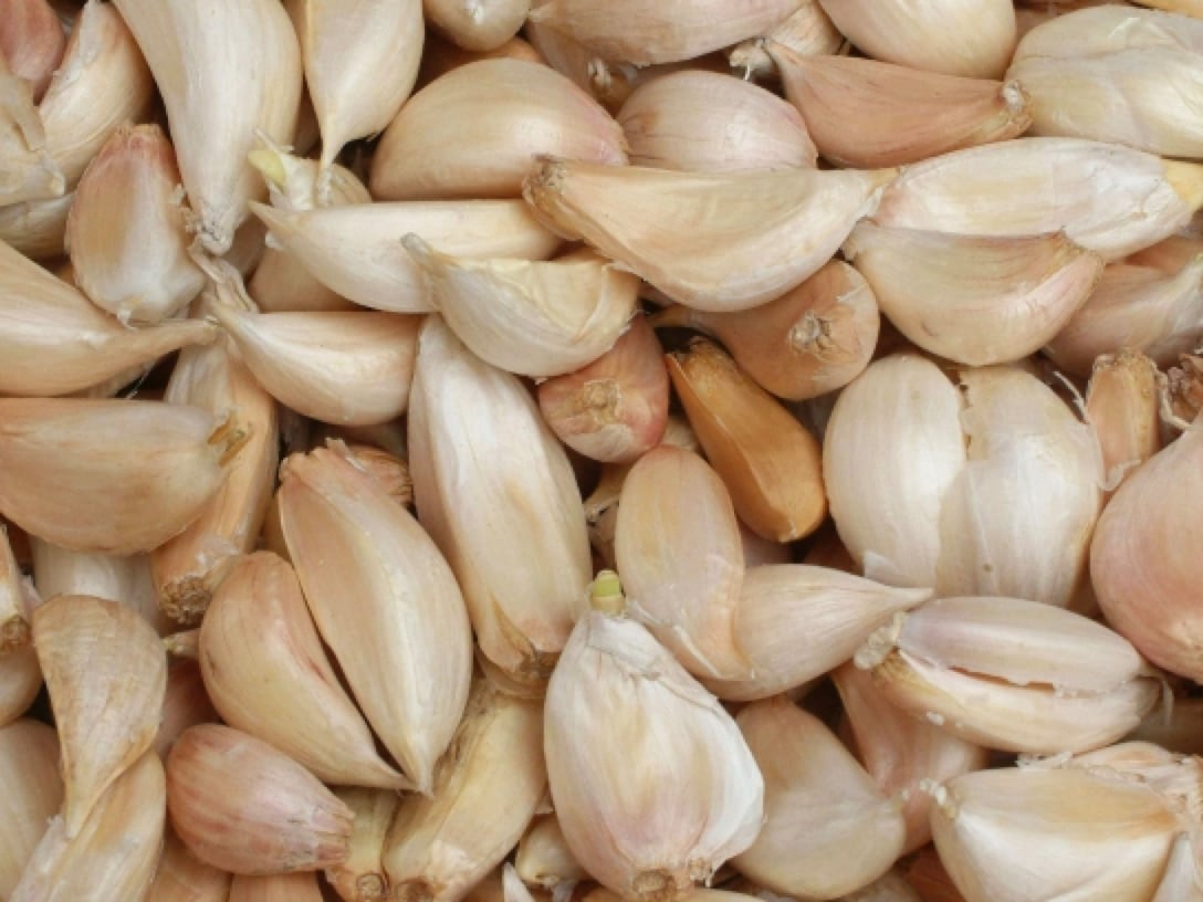 Fresh Garlic Cloves and Fresh Shallots | Taiwantrade