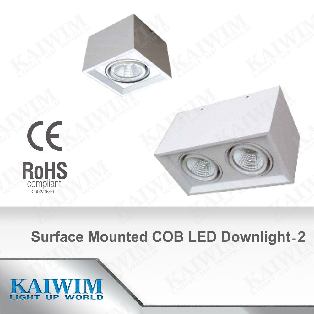 Surface Mounted COB LED Downlight-2 / LED Downlight | Taiwantrade.com
