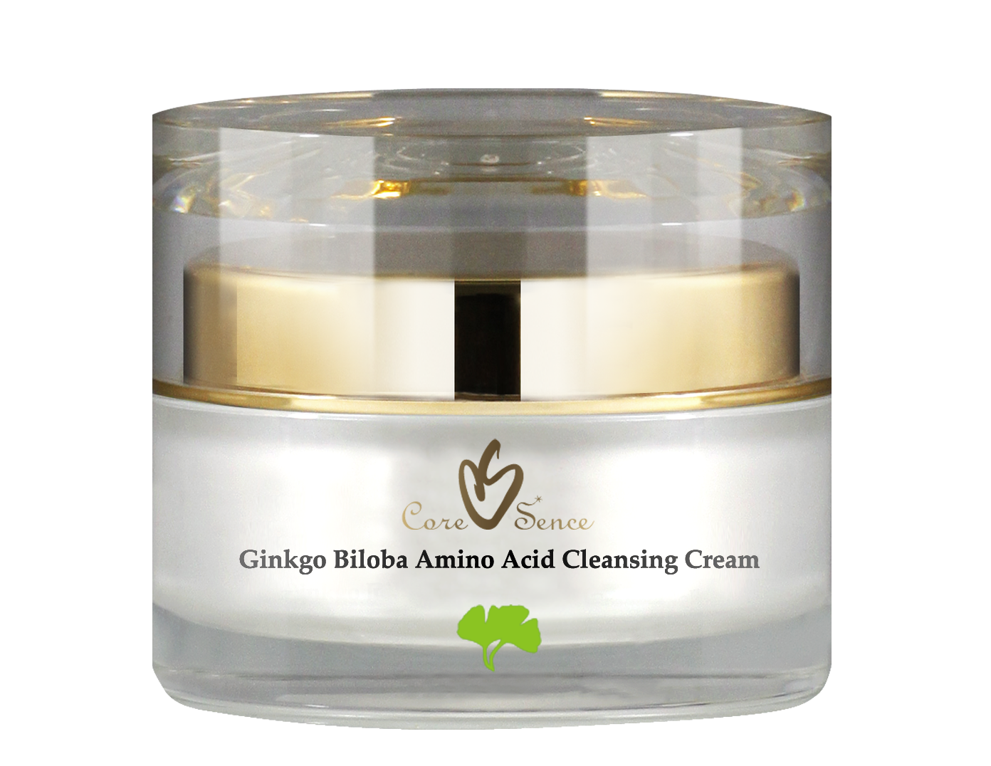 Ginkgo Biloba Amino Acid Cleansing Foam, Face Cream | Taiwantrade